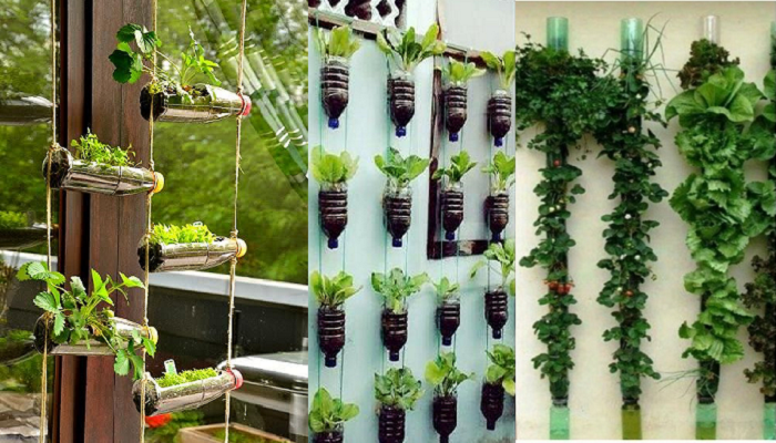 Cómo hacer una Huerta vertical con riego por goteo con botellas de ...